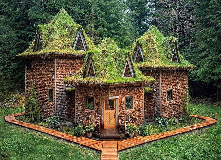 Standout Cabin Designs . . . An Amazing Array of Exciting Plans!